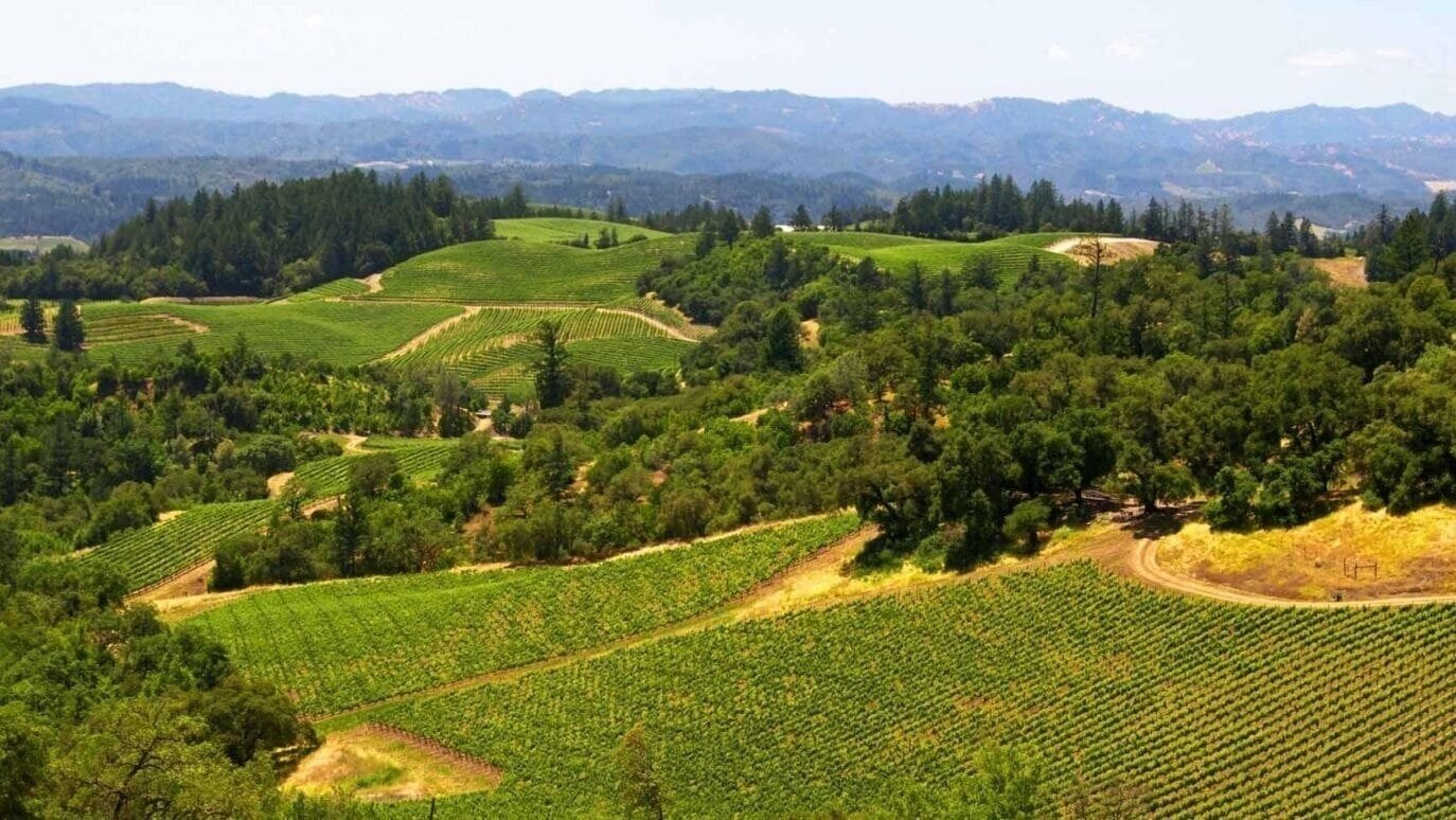 Petition · PETITION AGAINST THE WINE IMPROVEMENT DISTRICT (WID) IN ...