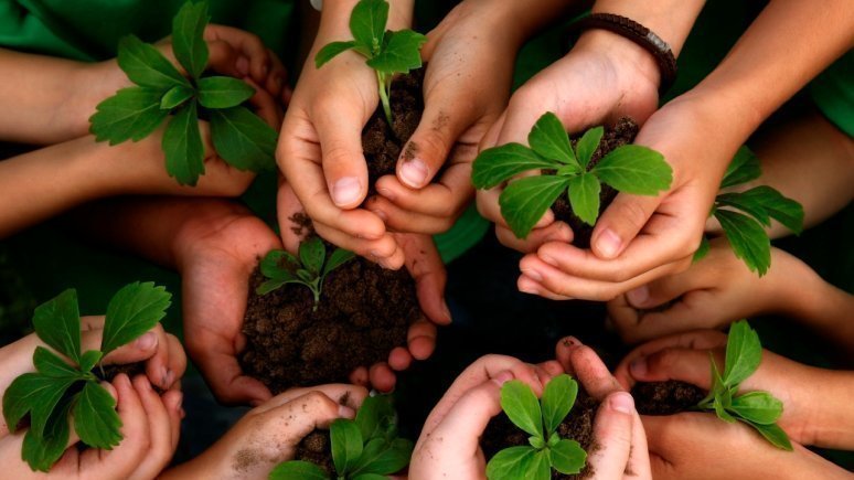 Petition · Empower nature's cries through rejuvenation and coordination ...