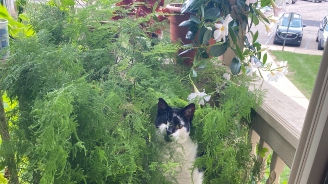 Petition · Please help keep a tenant of 20 years in his home ...