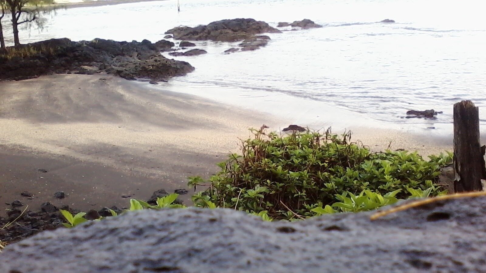 Petition · PROTECT FREEDOM OF SPEECH IN HAWAI’I 2023 - United States ...