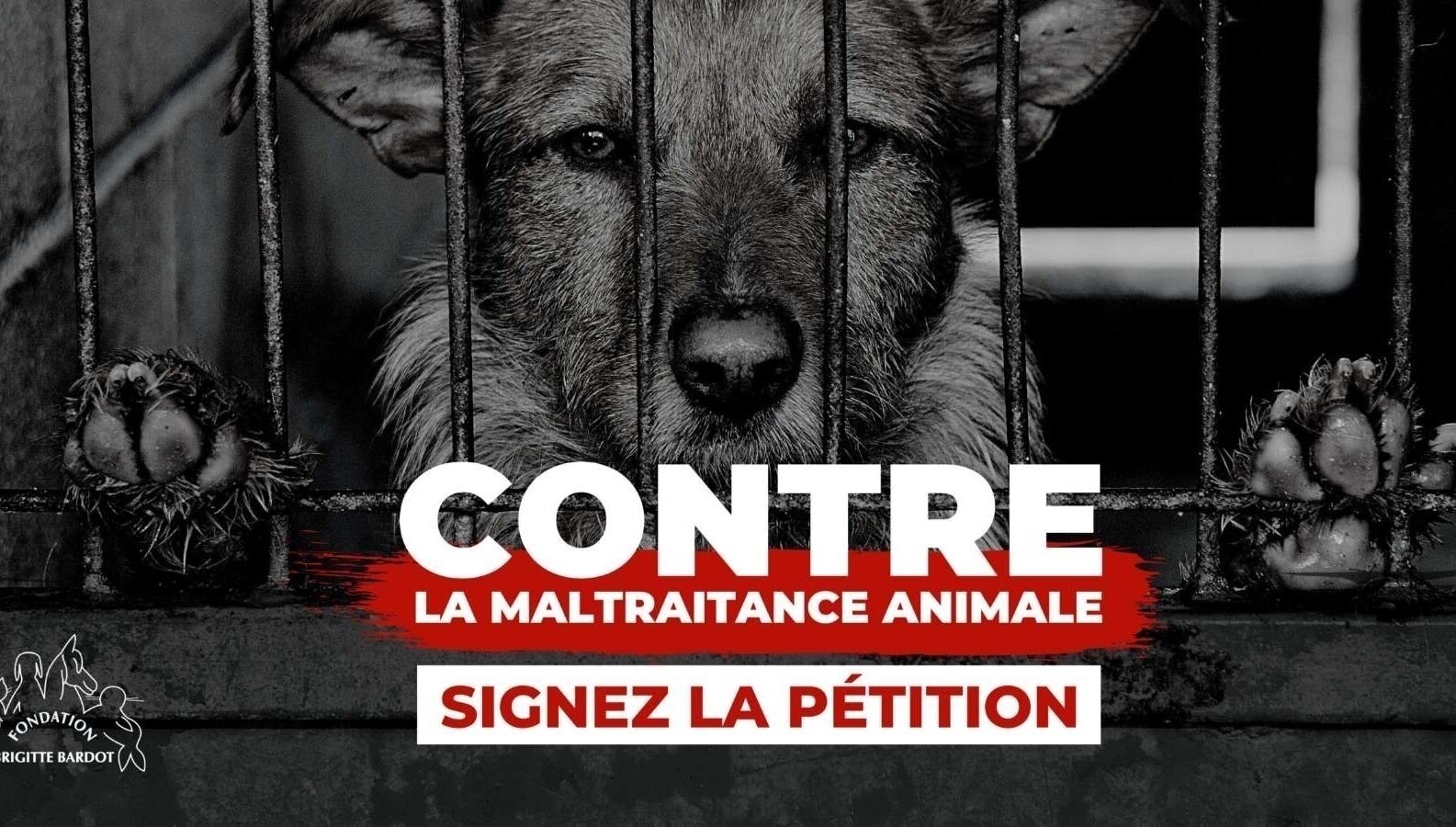 Pétition · Tous contre la maltraitance animale - France · Change.org