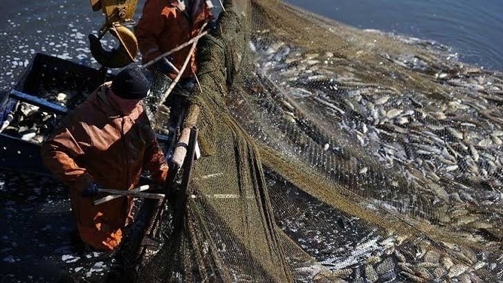 Petition · Stop illegal fishing! - India · Change.org