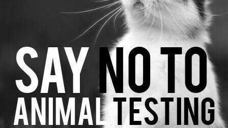 Petition · Stop testing products on animals - United States · Change.org