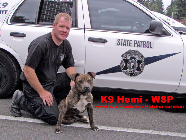 Petition · Tell Homeland Security To Diversify & Employ Shelter Dogs as ...