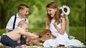 Petition · Stop Rodeo Harm to Animals (and Children?) in Houston, TX ...