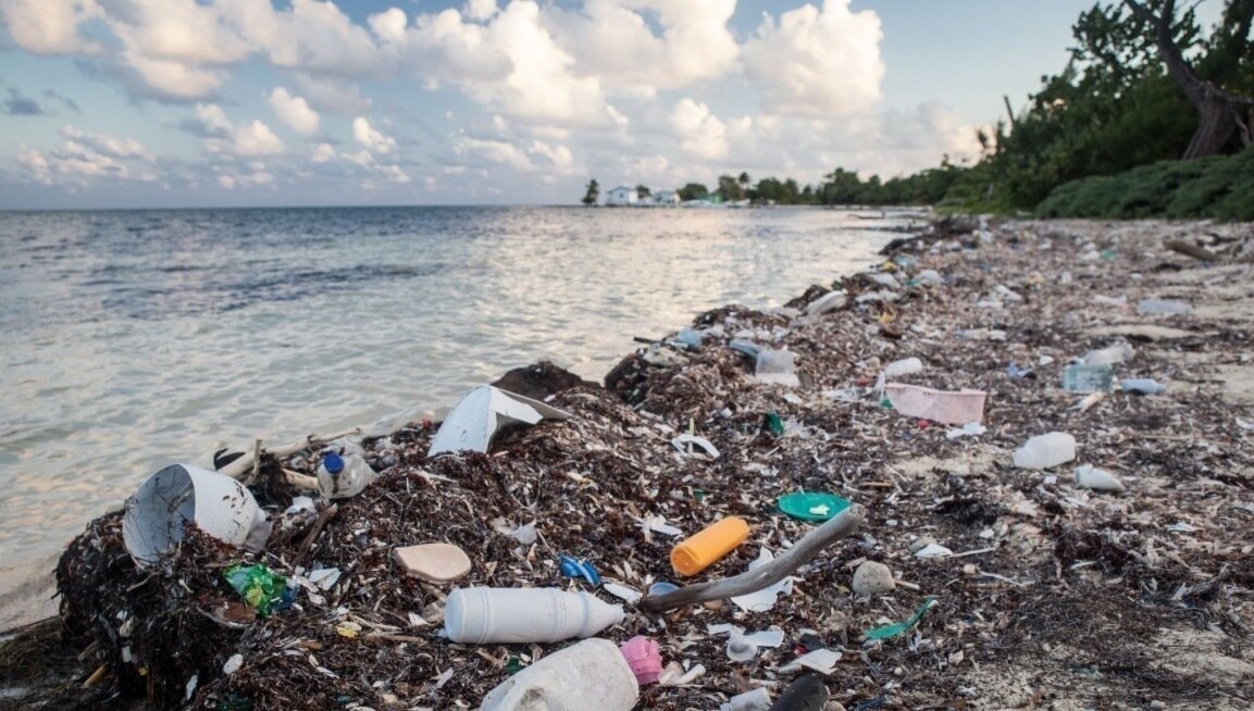 Petition · Raise Awareness for Ocean Conservation - United States ...