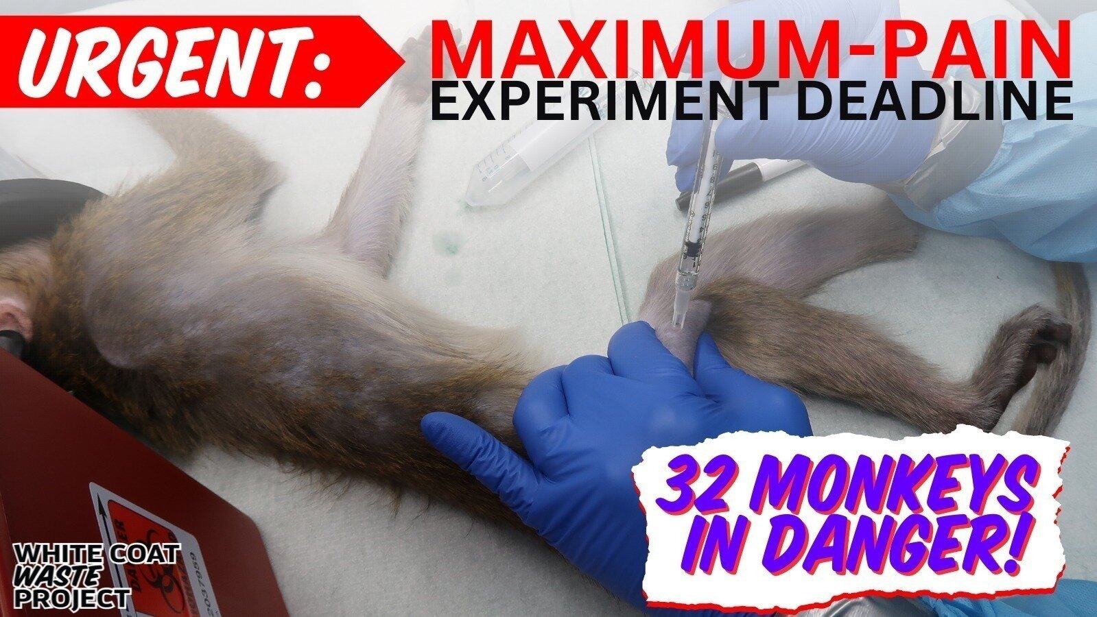 Petition update · No pain relief. No anesthesia. · Change.org · Change.org