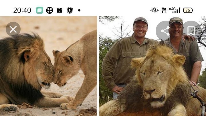 Petition · A plea to see the end of trophy hunting. - India · Change.org