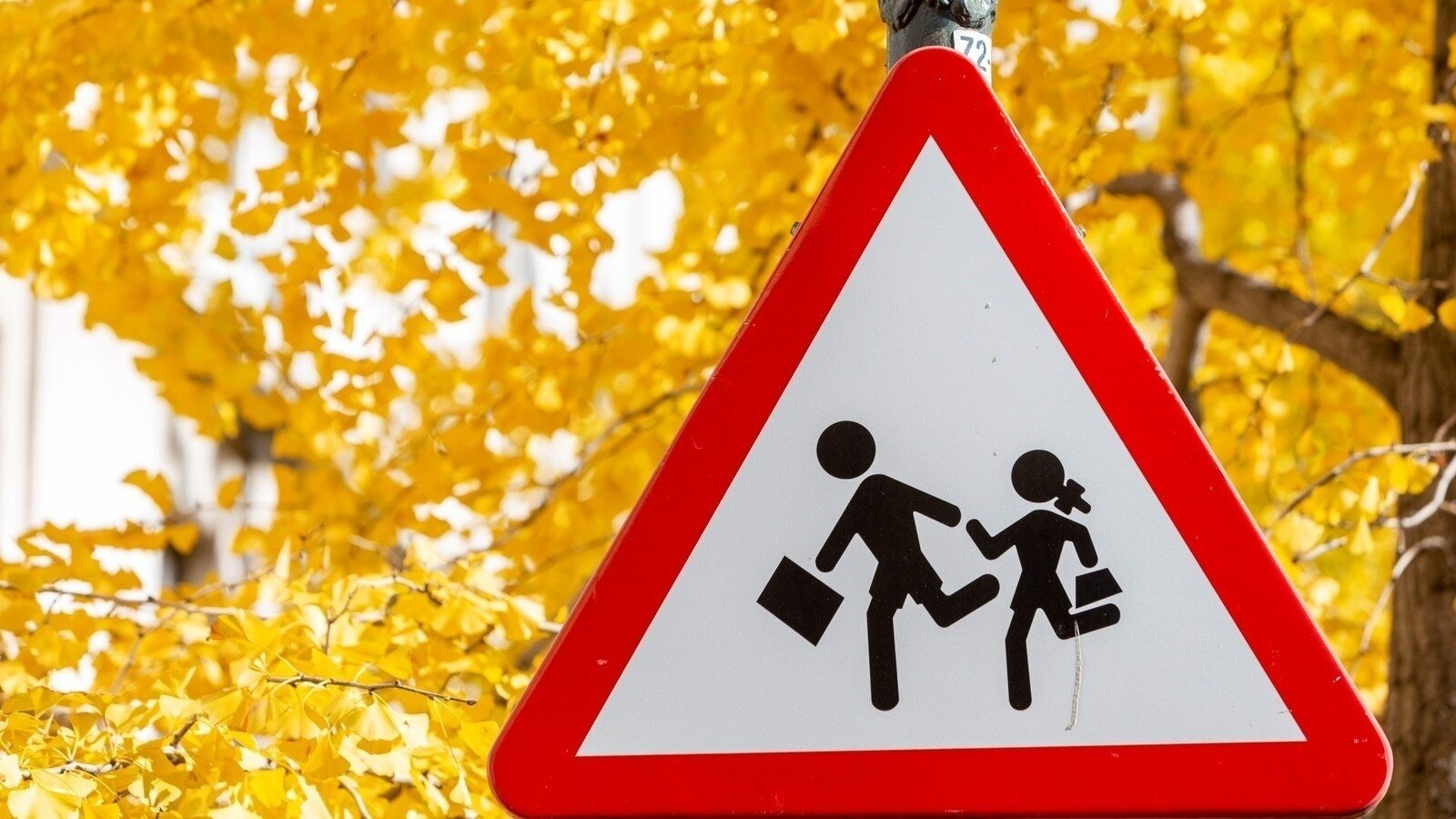 Petition · AUMENTO SEGURIDAD VIAL AVENIDA DE LA UNIVERSIDAD UFK ...