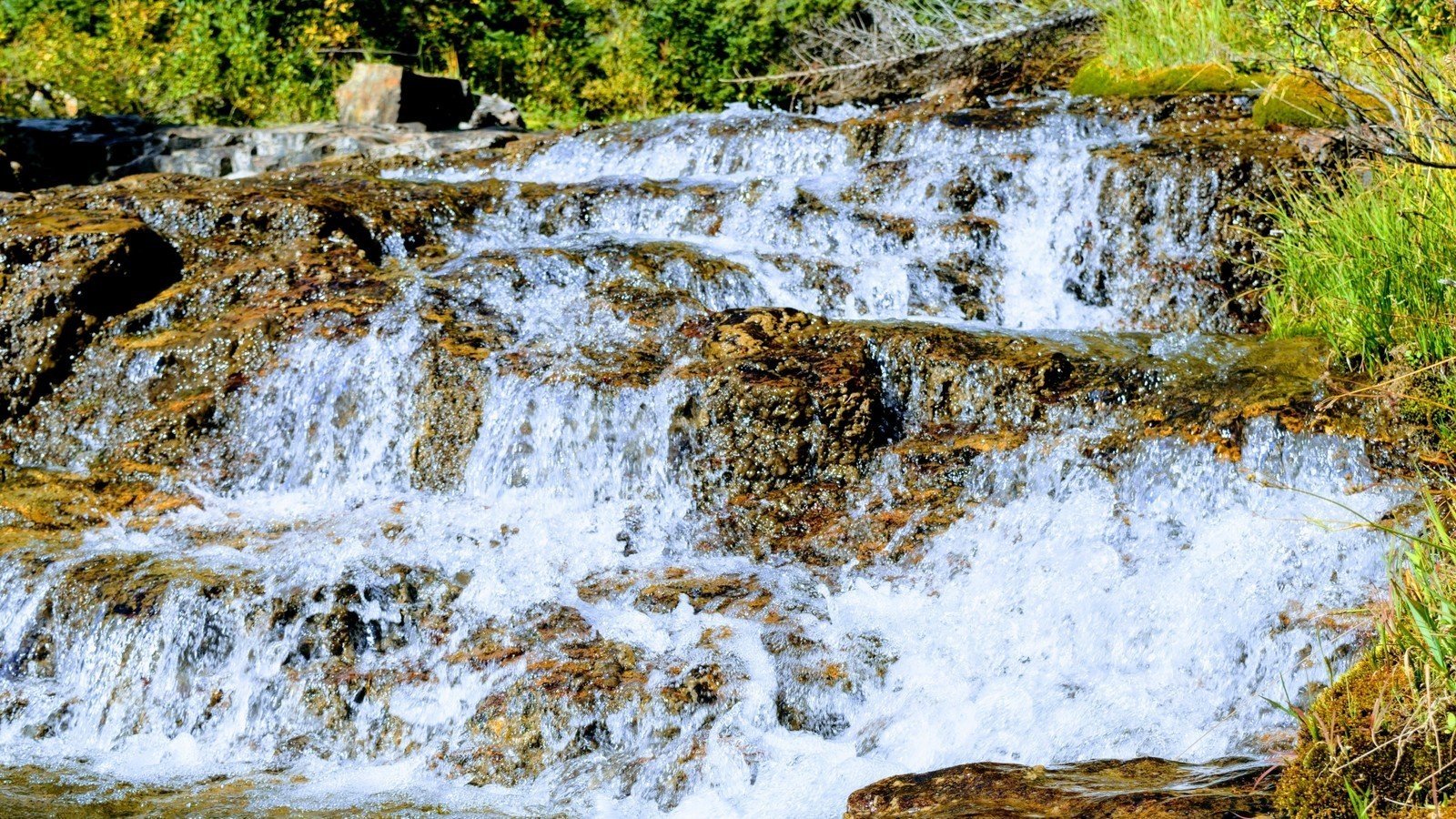 Petition · Inland Water Conservation: Colorado must find ways to ...