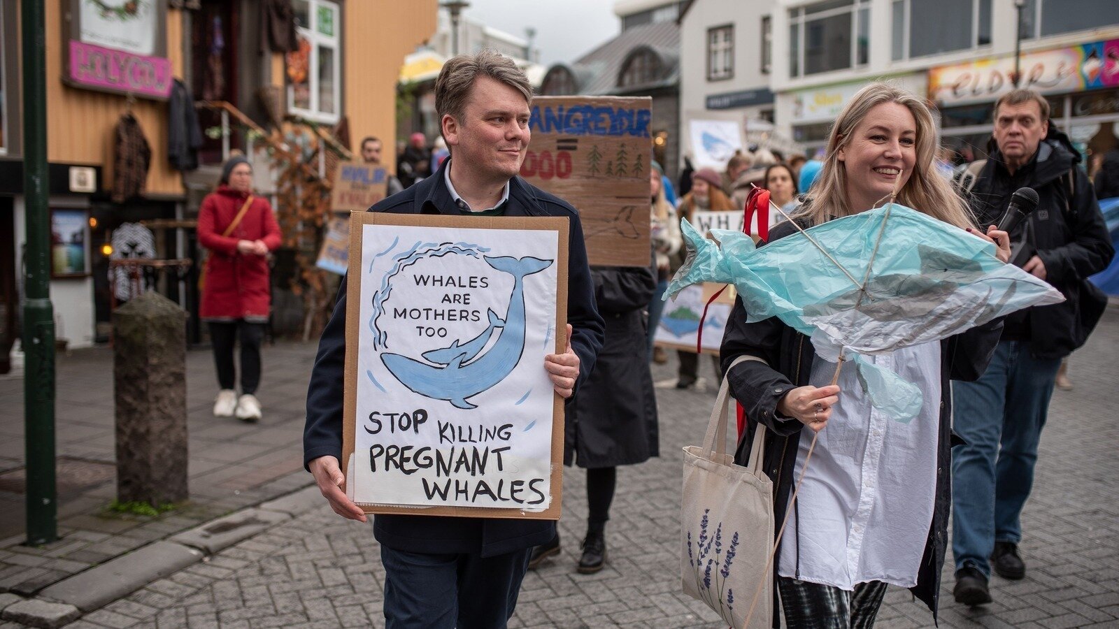 Petition update · Online event- You can support the bill to ban whaling ...