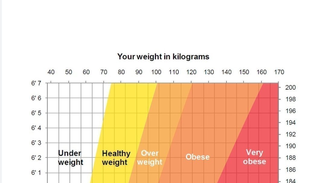 Petition Ban The Use Of The Body Mass Index BMI Calculator In The Petition Ban The Use Of The Body Mass Index BMI Calculator In The