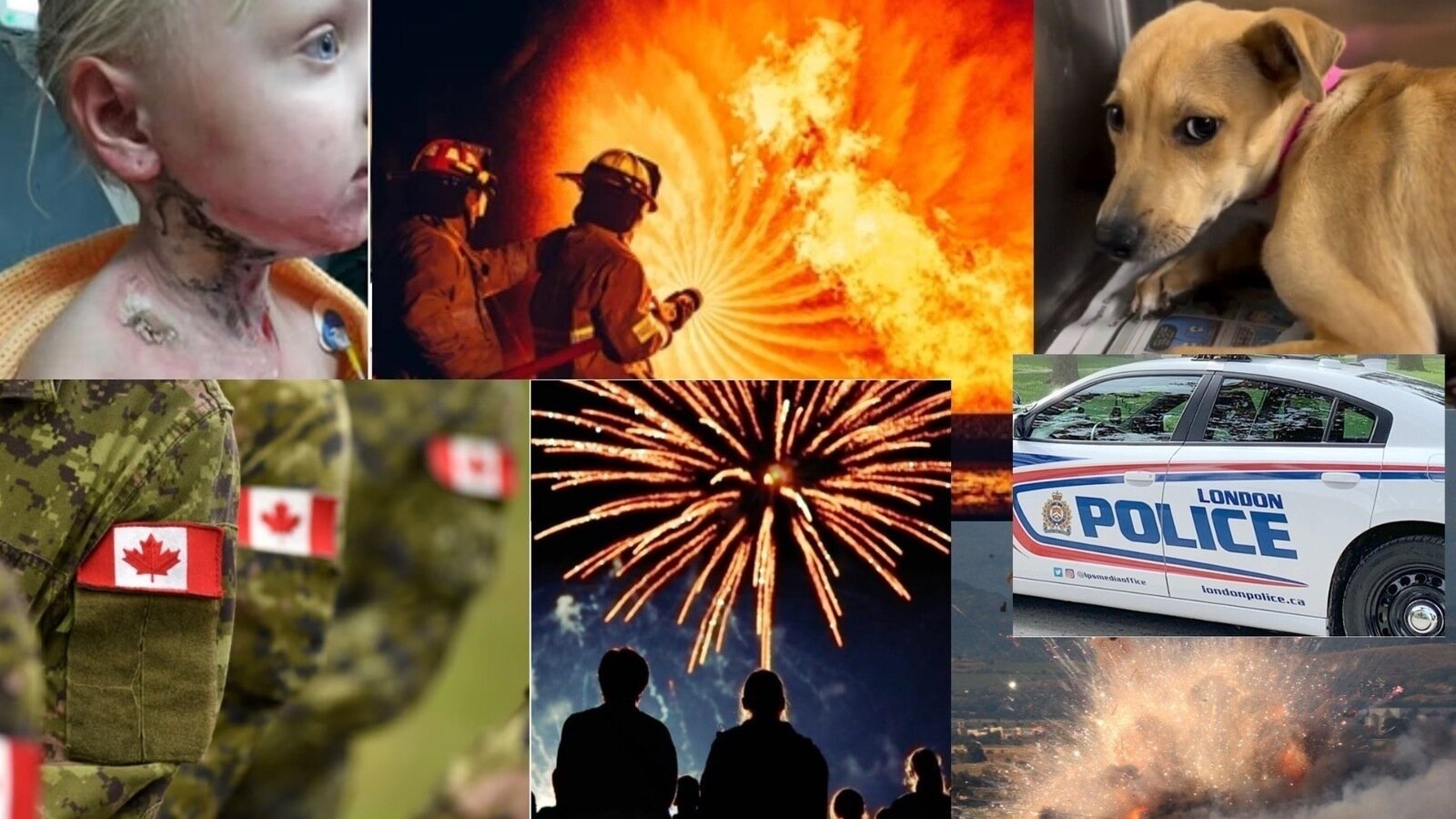 Petition · Ban or Implement Stricter Regulations of Fireworks in London ...
