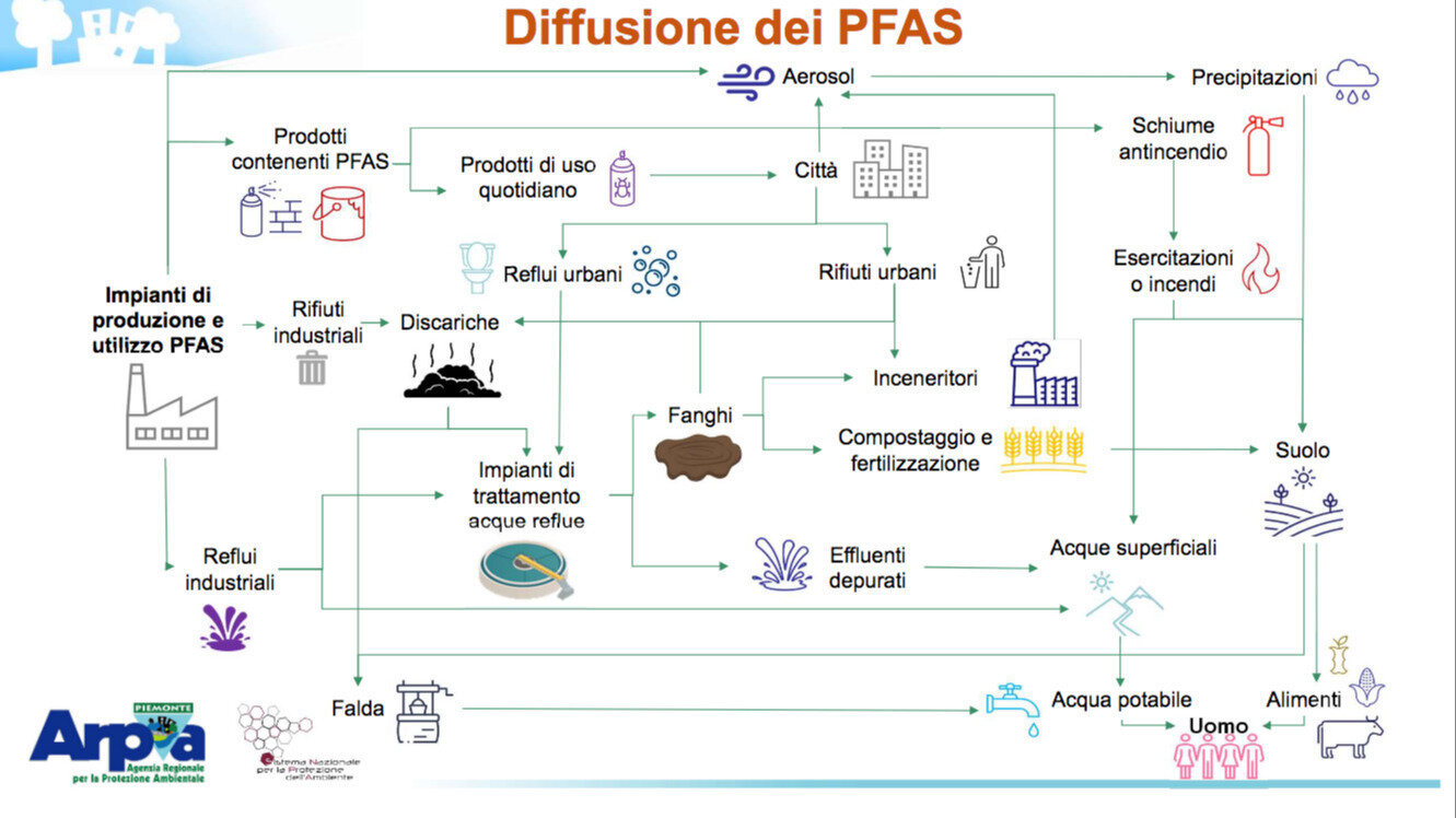 Petition update · Dove sono i PFAS e come si diffondono · Change.org · Change.org