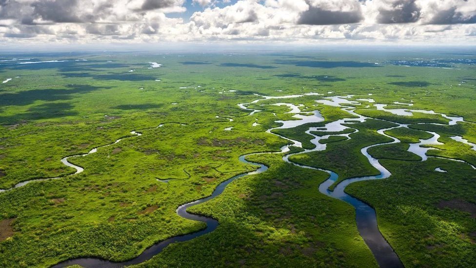Petition · Stop Draining The Everglades - United States · Change.org
