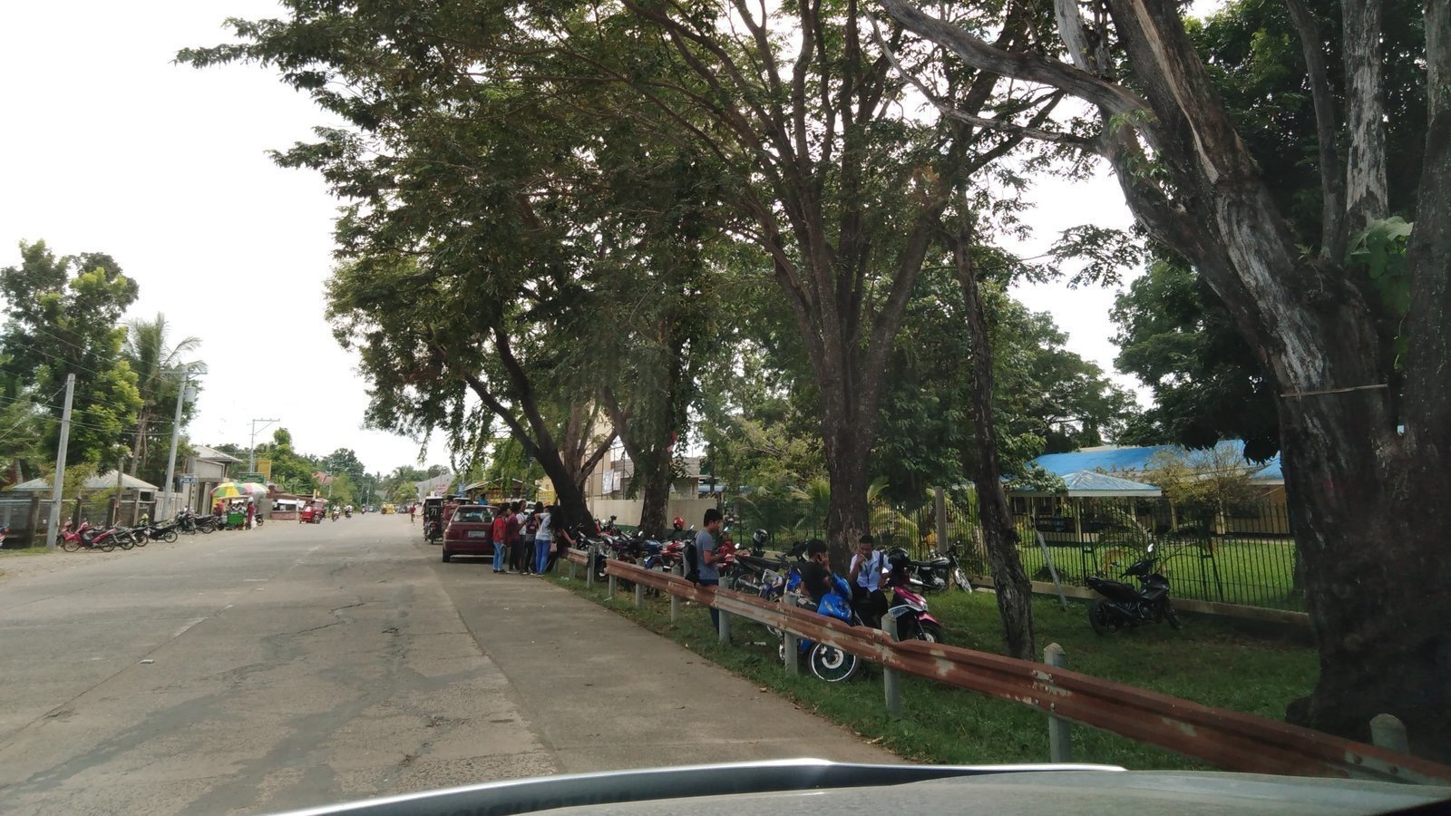 Petition · Save the Century Trees of Angadanan - Philippines · Change.org