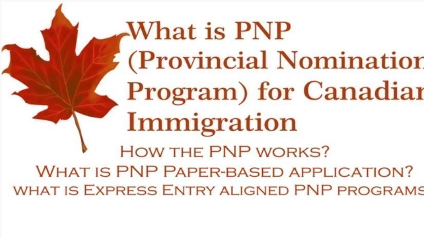 Petition Solicitation For Review Of PNP Paper based Processing Time Petition Solicitation For Review Of PNP Paper based Processing Time