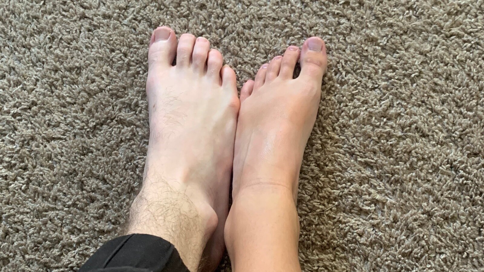 Petition · Free The Toes - United States · Change.org