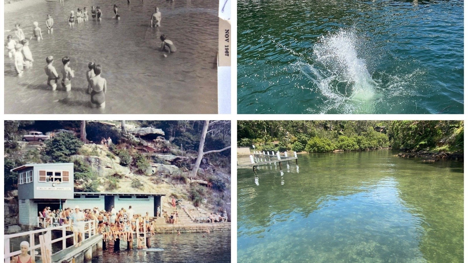 Petition update · Gymea Bay Baths - critical help needed by Sunday 14 ...