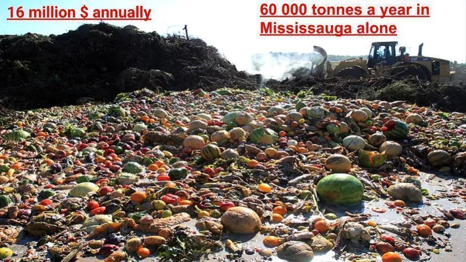 Petition · Law to require supermarkets to donate their excess foods in ...