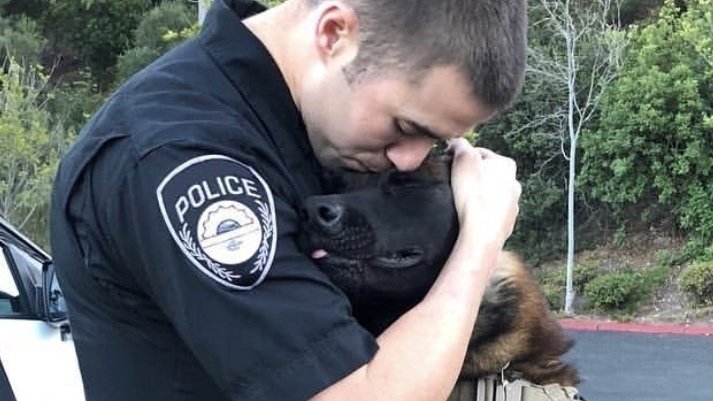Petition · Keep K9 jester with his human! - United States · Change.org
