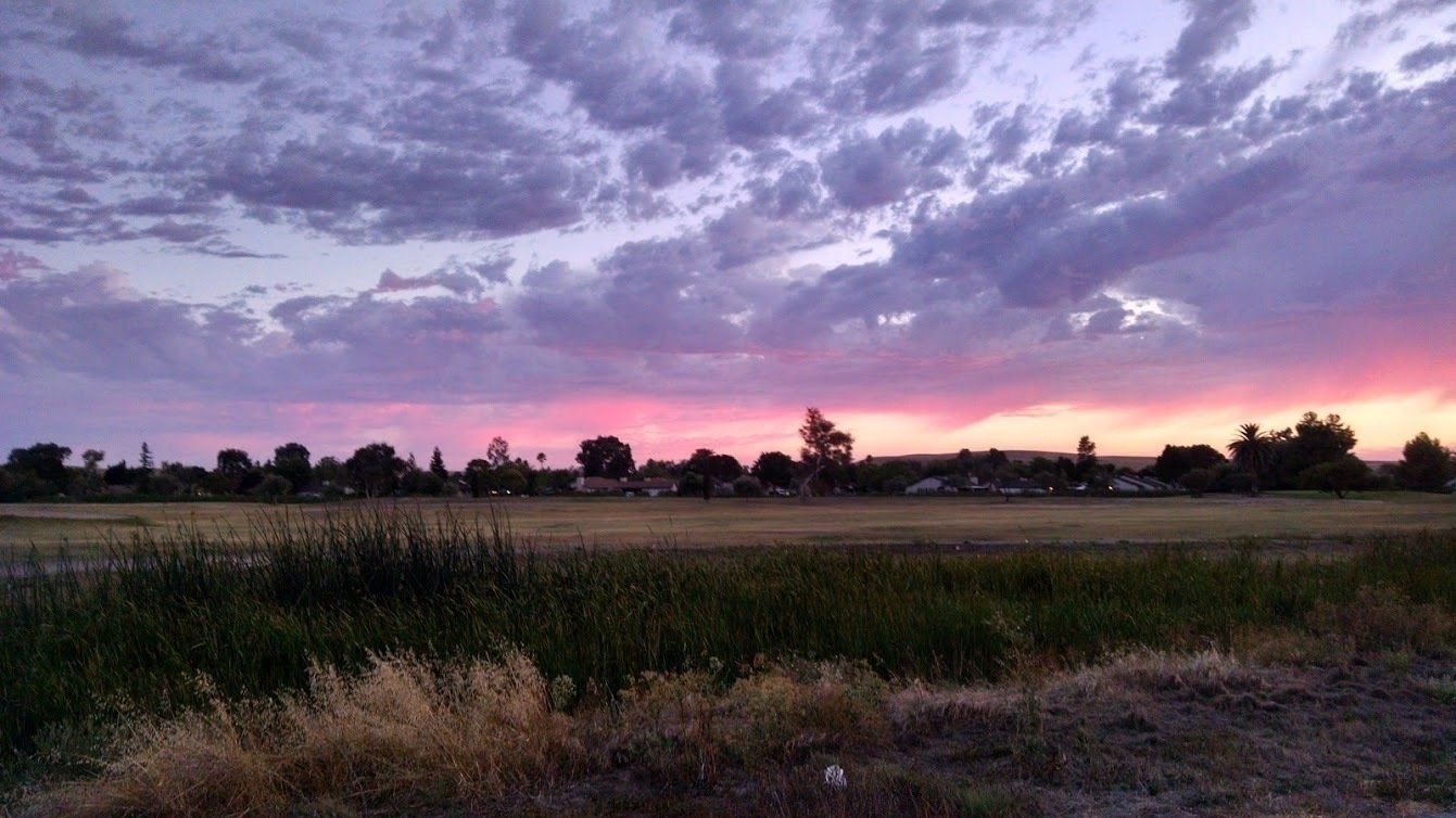 Petition · NO development. Preserve Open Space on the closed springtown ...