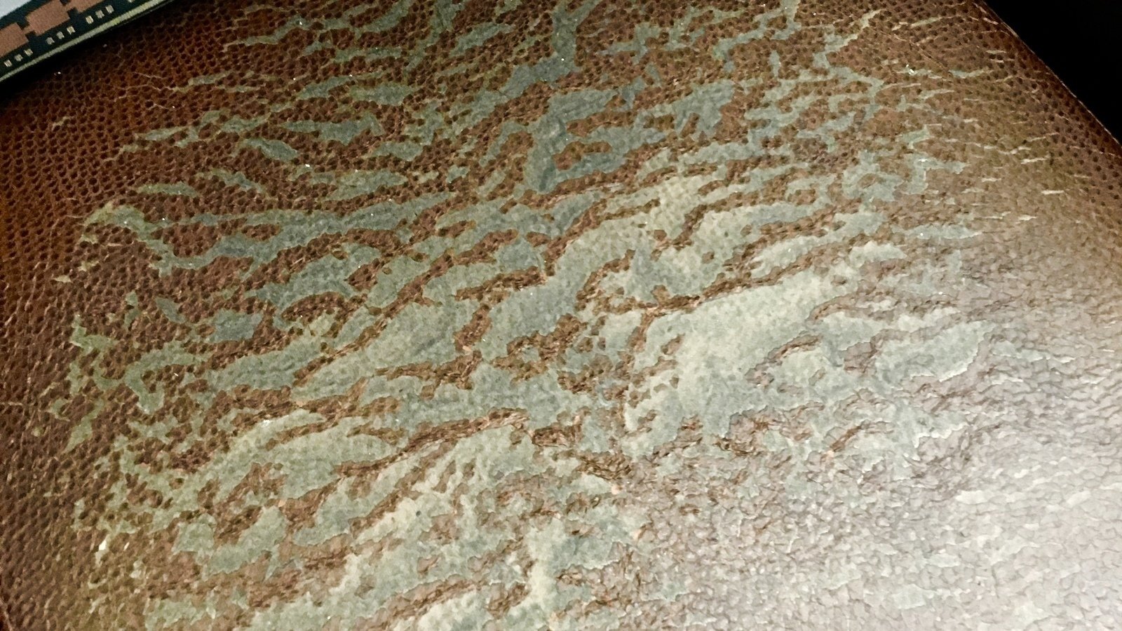 Petition · University of Texas at Austin: Change the crusty seats in ...