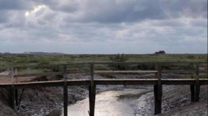 Petition · Should the National Trust replace the footpath bridge on ...