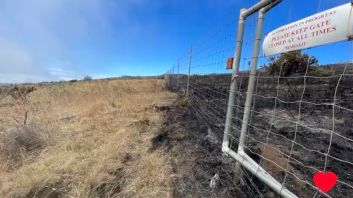 Petition · Request to Withdraw the Kamehamenui Forest Reserve ...