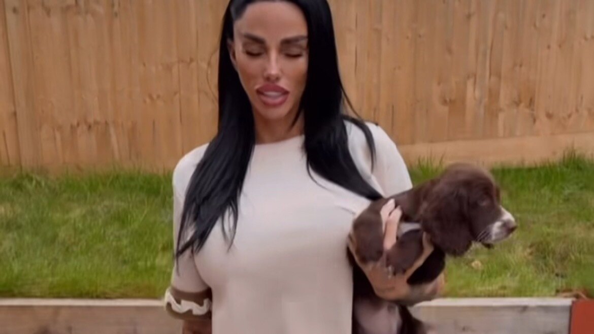 Petition · STOP KATIE PRICE FROM KEEPING ANIMALS - United Kingdom ...
