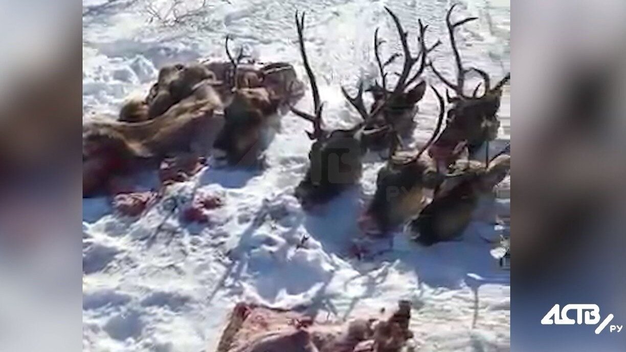 Petition update · БЕЗНАКАЗАННОСТЬ ПЛОДИТ ЗЛО · Change.org · Change.org