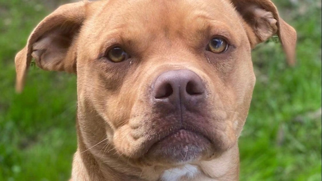 Petition · Get Raymond home - Australia · Change.org