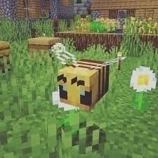 Petition · Bee movie reference in Minecraft - Australia · Change.org