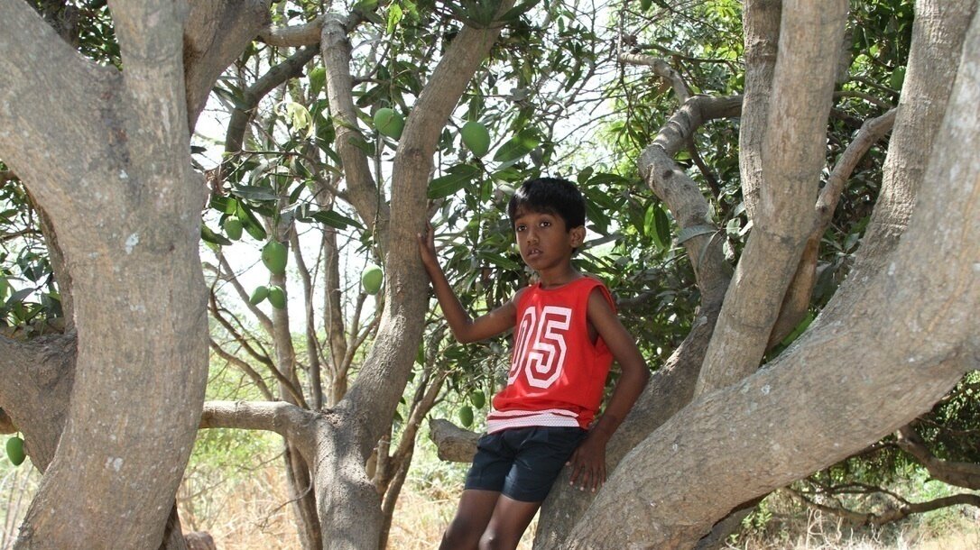 Petition · My kids want to excel too! Schools shouldn't deny admissions ...