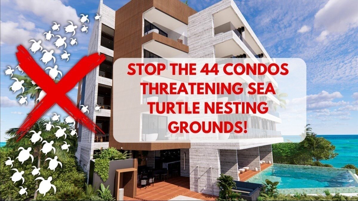Pétition · Save Playa Paraiso: Stop the 44 Condos Threatening Sea ...