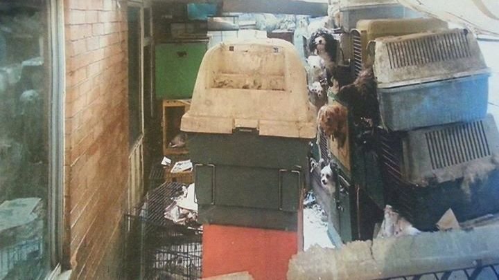 Petición · Exigimos la destitución de Roberto Carlos Freeman Gomez. Sub ...