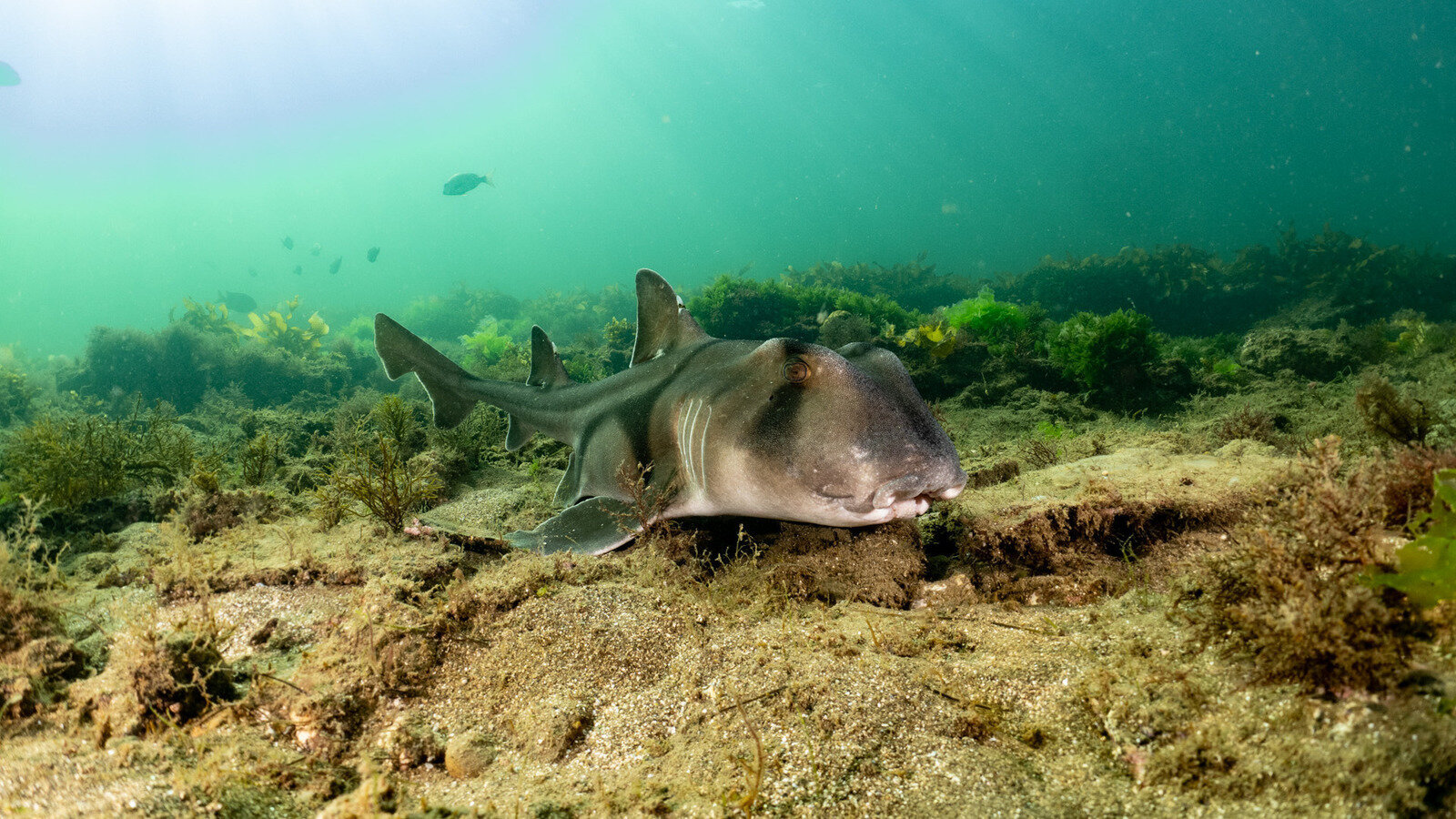 Petition update · Why does it matter that we have strong protection of ...