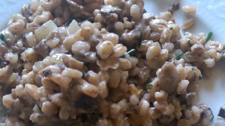 Petition · Barley. Consider the slimy fatty grain with a new enhanced ...