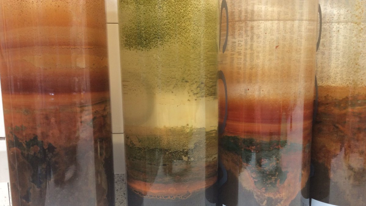 Petition · End the Winogradsky Lab - United States · Change.org