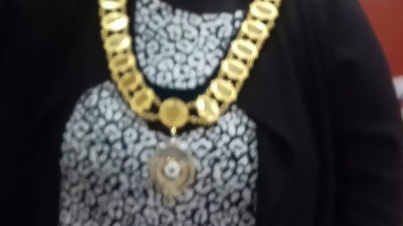 Petition · UK Parliament: Strip Sheila Oakes of her title as mayor of ...