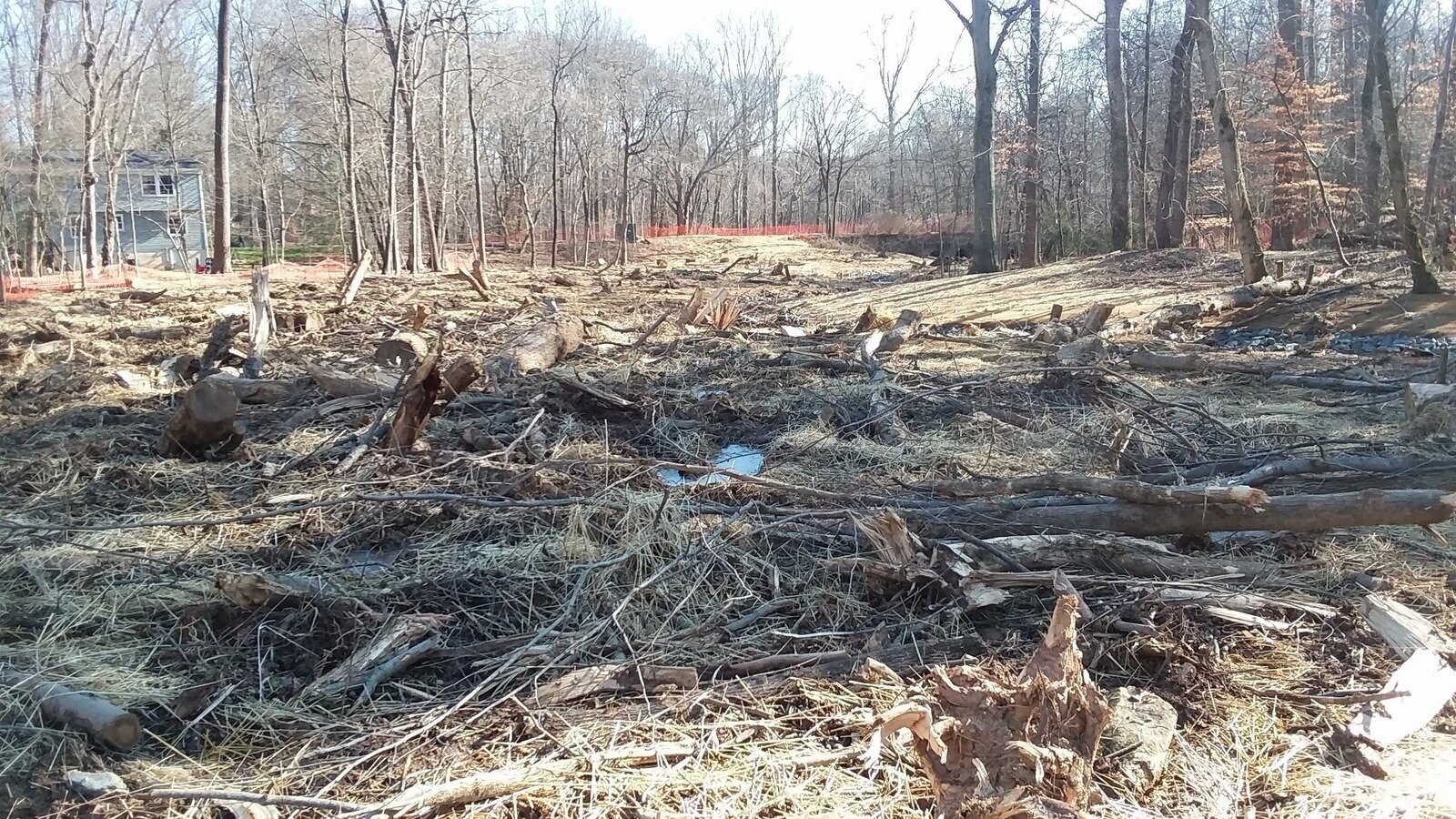 Petition · DEFEND HOWARD COUNTY TREES FROM DE-FORESTATION SUPPORT CB 40 ...