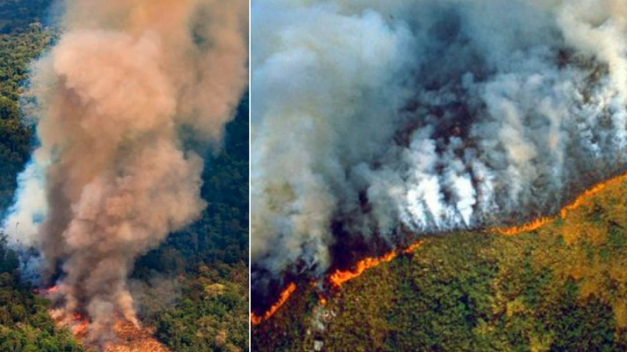 Petición · ¡INCENDIO EN EL AMAZONAS! ¡ACTUEMOS AHORA! - Colombia ...