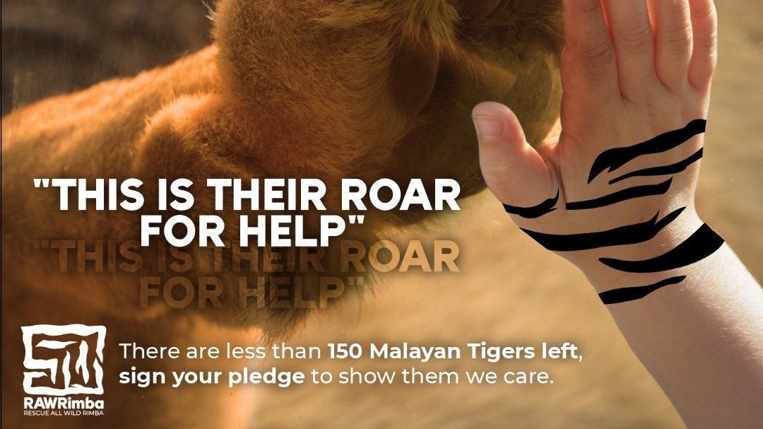 Petition · I pledge to help protect the Malayan tigers! - Malaysia ...