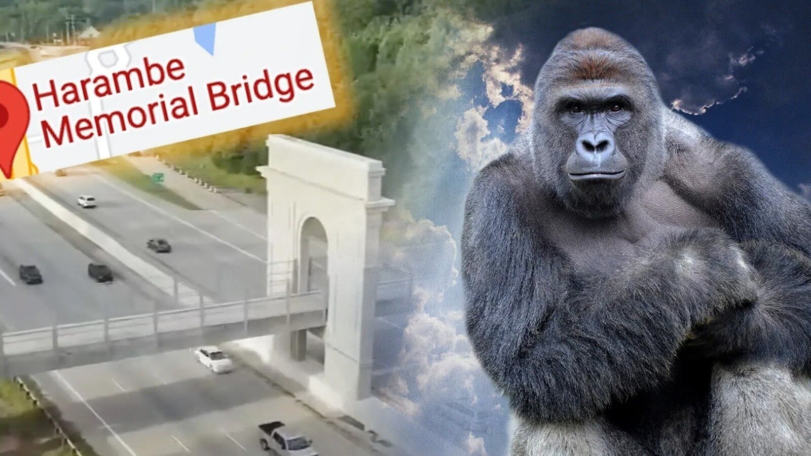 Petition · Keep The Harambe Memorial Bridge - United States · Change.org