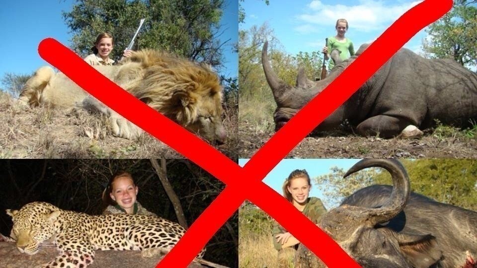 Petition · Review your photo policy and stop hunting and animal carcass ...