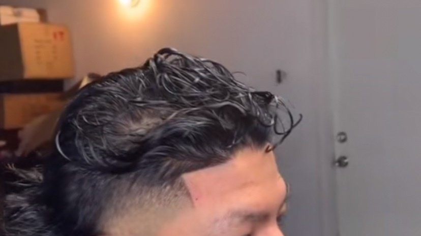 Petition · cut tony’s mullet - United States · Change.org