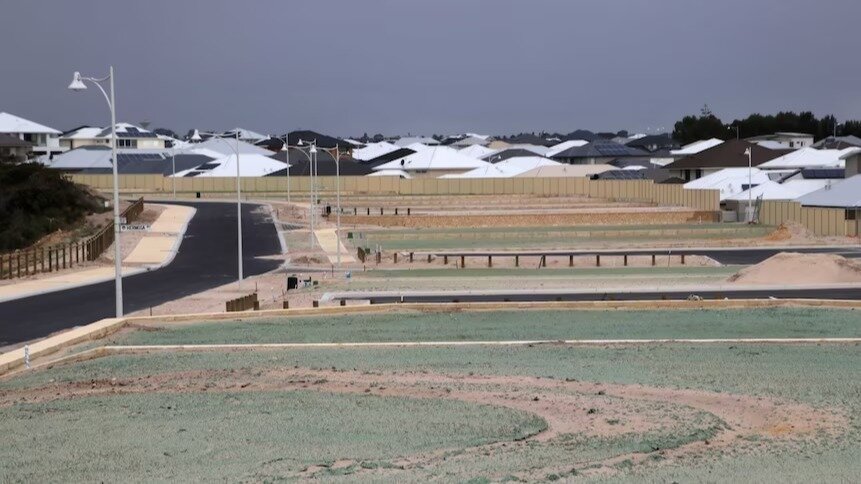 Petition · Petition Title: Protect Perth's Tree Canopy and Implement ...