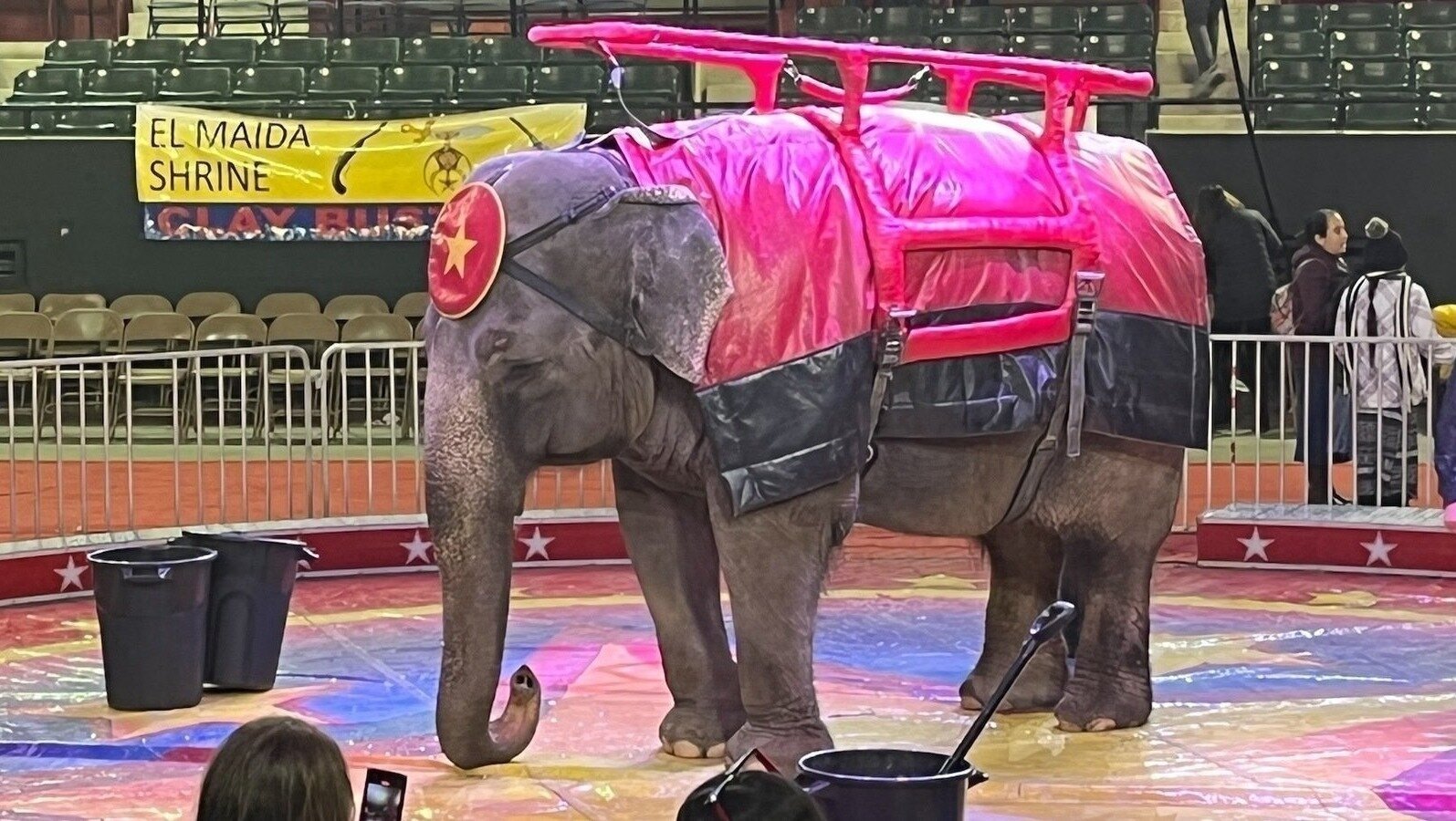 Petition · Stop Carden circus' using animals in their acts - United ...