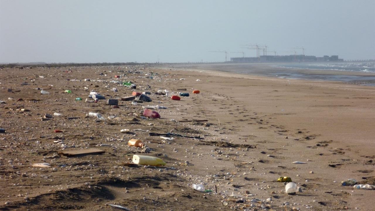 Petition · help keep the beaches clean - United States · Change.org
