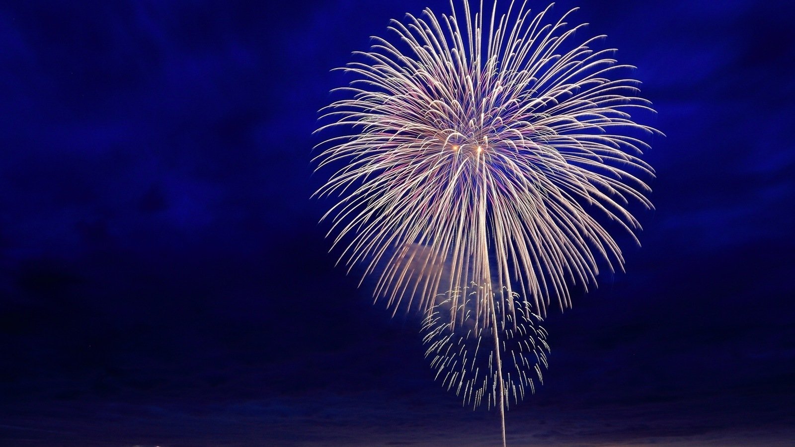 Petition · Make private use of fireworks illegal to prevent distress ...